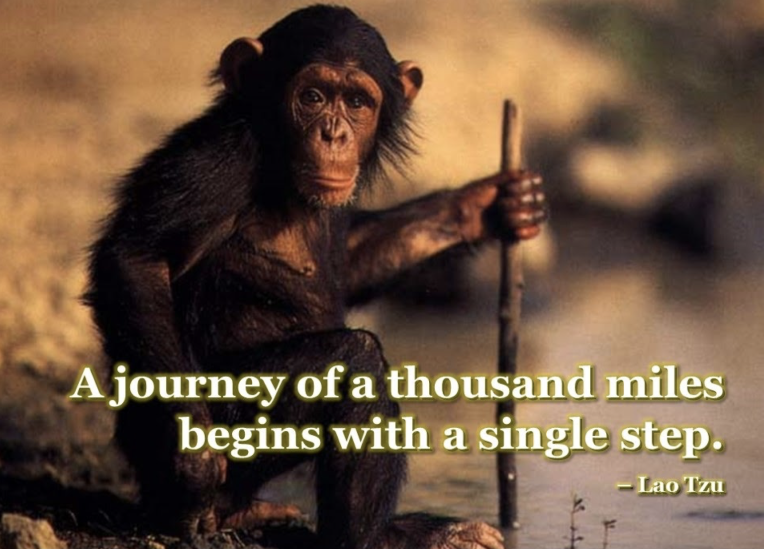 SE4.7 - Character Education Lessons: Perseverance - Character Counts