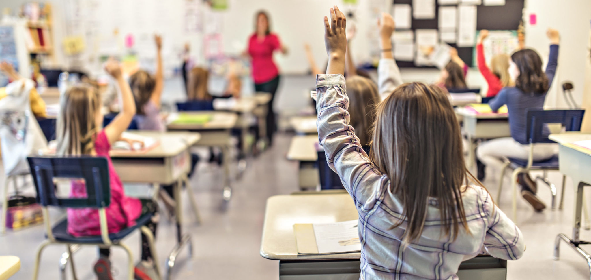 Caring Lesson - Character Counts